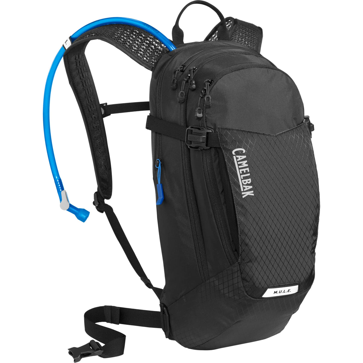 Camelbak M.U.L.E. 12 3L Backpack – Crooze